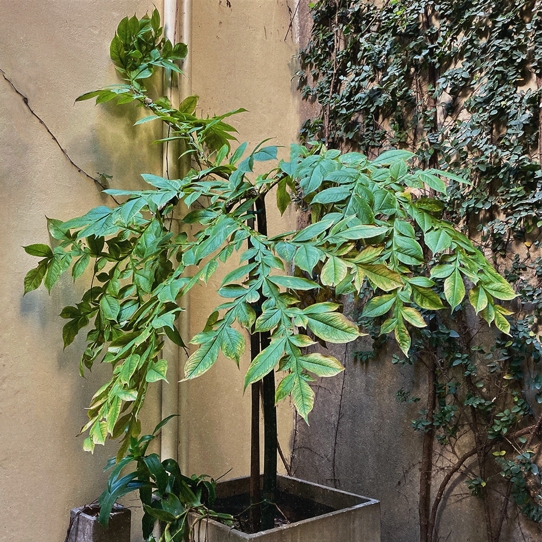 Buenos Aires apartments - Poetry Building Recoleta